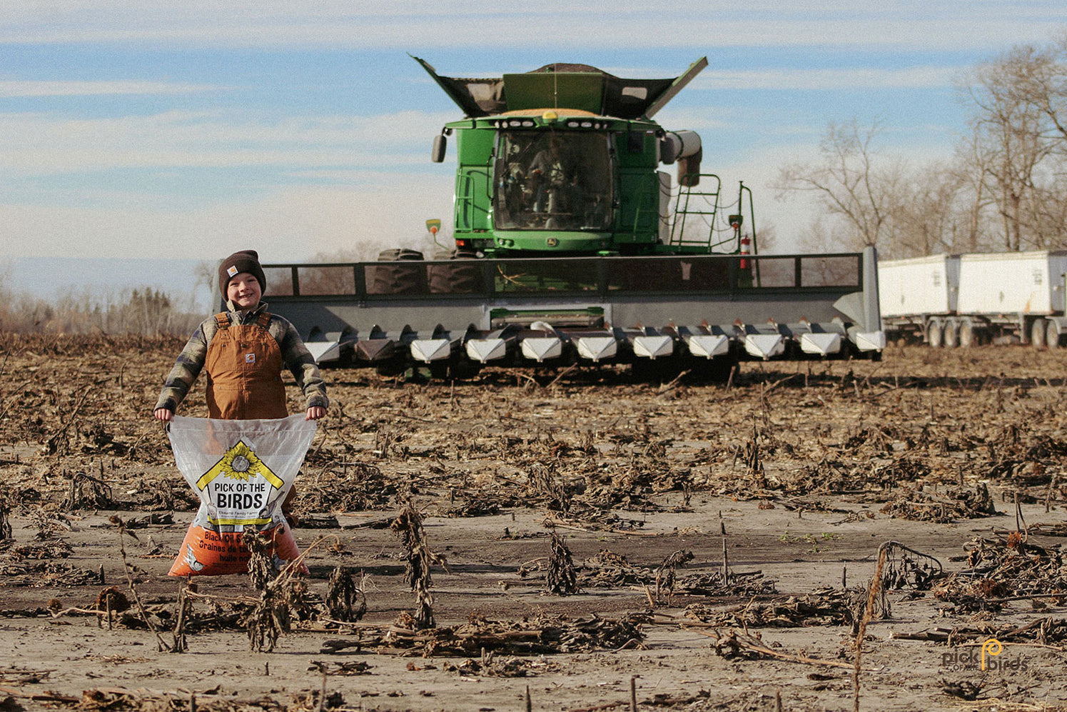 Farm to Feeder– Pick of the Birds